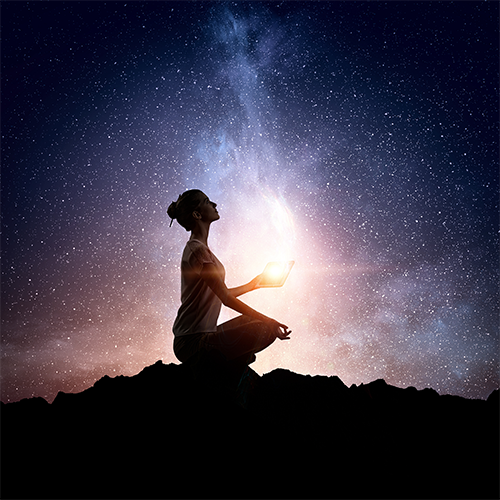 Evolutionary Dynamics Mastery Program – Evolutionary Dynamics